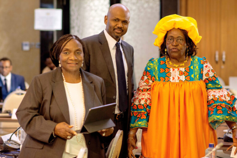 Shelter Afrique unveils new five-year strategic plan - Africa Surveyors